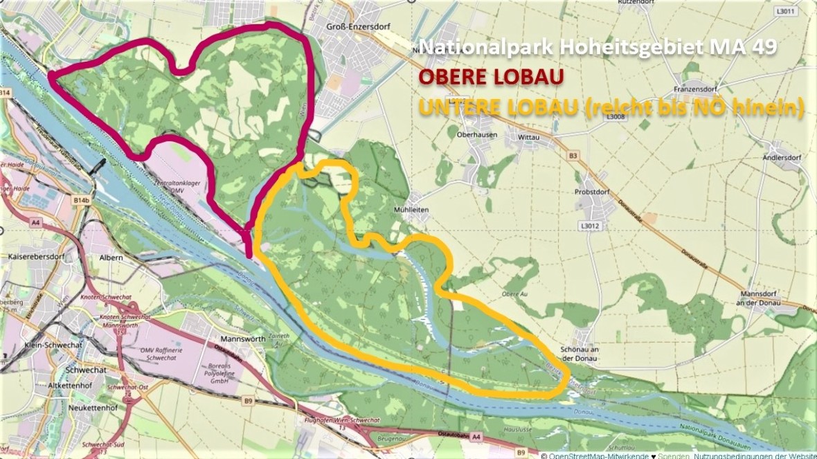Die untere Lobau braucht Wasser - Die Grünen Donaustadt